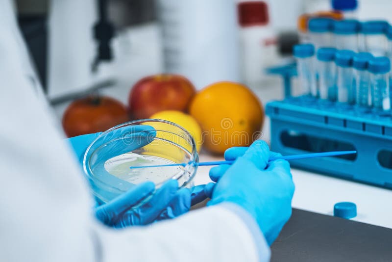 Microbiology laboratory stock image. Image of surface - 20215211