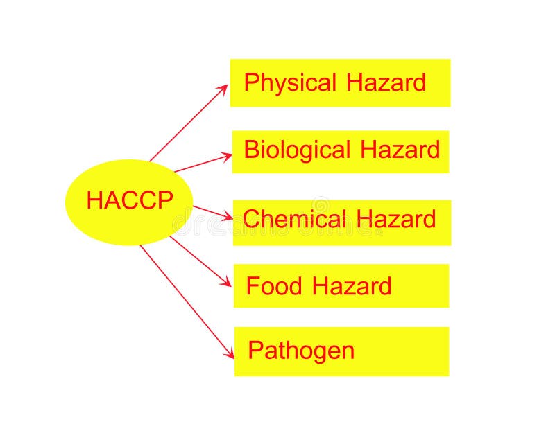 Types Hazard Haccp Stock Illustrations – 12 Types Hazard Haccp Stock ...