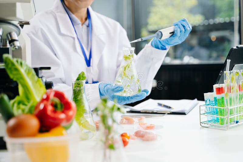 Food Science As Lab Scientists Test and Analyze Vegetables for Safety ...