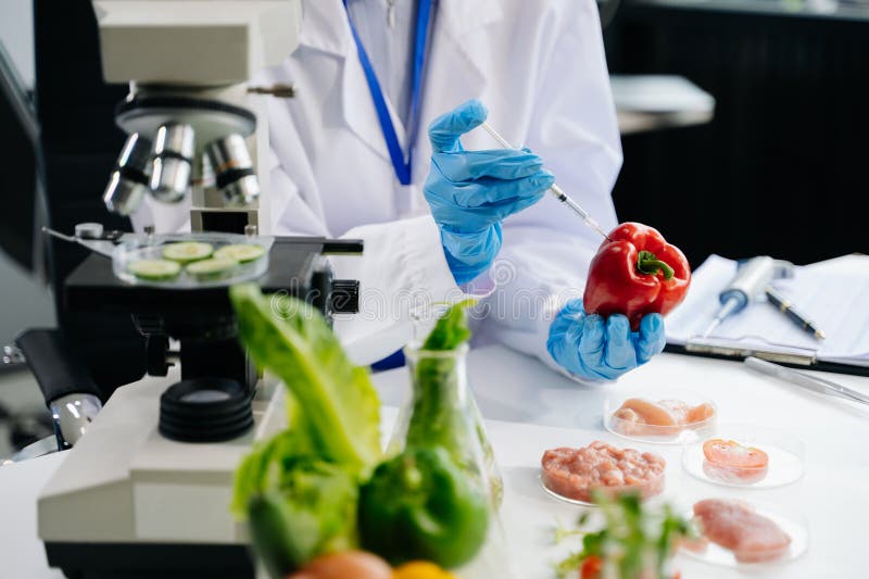 Food Science As Lab Scientists Test and Analyze Vegetables for Safety ...
