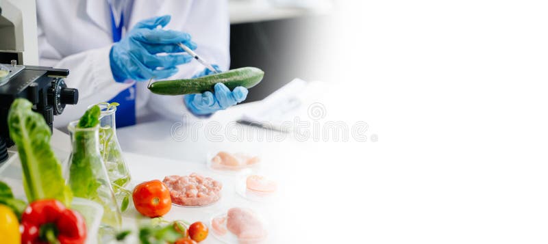 Food Science As Lab Scientists Test and Analyze Vegetables for Safety ...