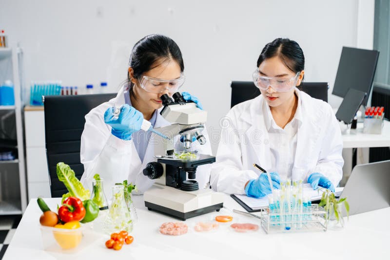 Food Science As Lab Scientists Test and Analyze Vegetables for Safety ...