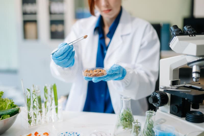 Food Science As Lab Scientists Test and Analyze Vegetables for Safety ...