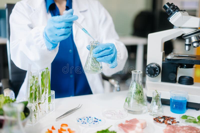 Food Science As Lab Scientists Test and Analyze Vegetables for Safety ...