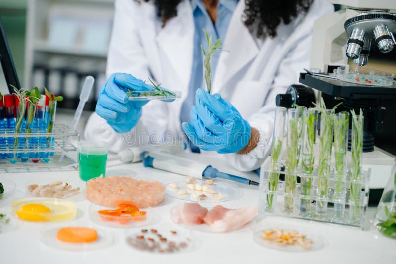 Food Science As Lab Scientists Test and Analyze Vegetables for Safety ...