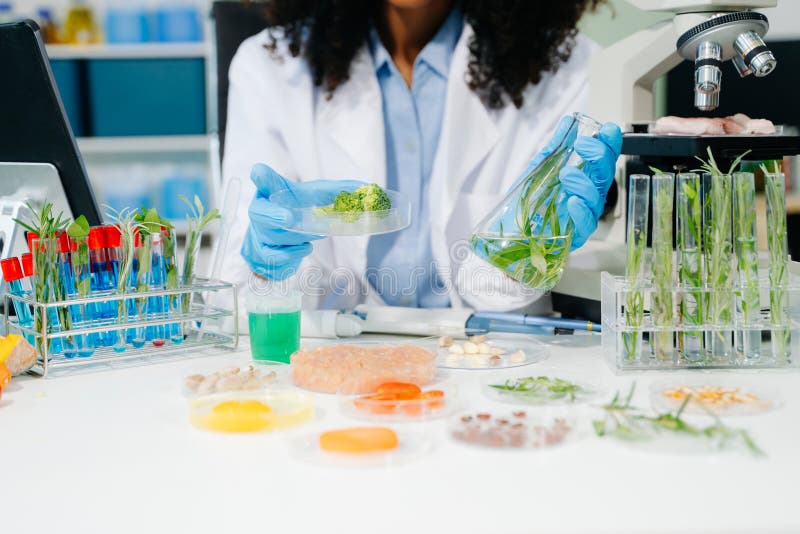 Food Science As Lab Scientists Test and Analyze Vegetables for Safety ...