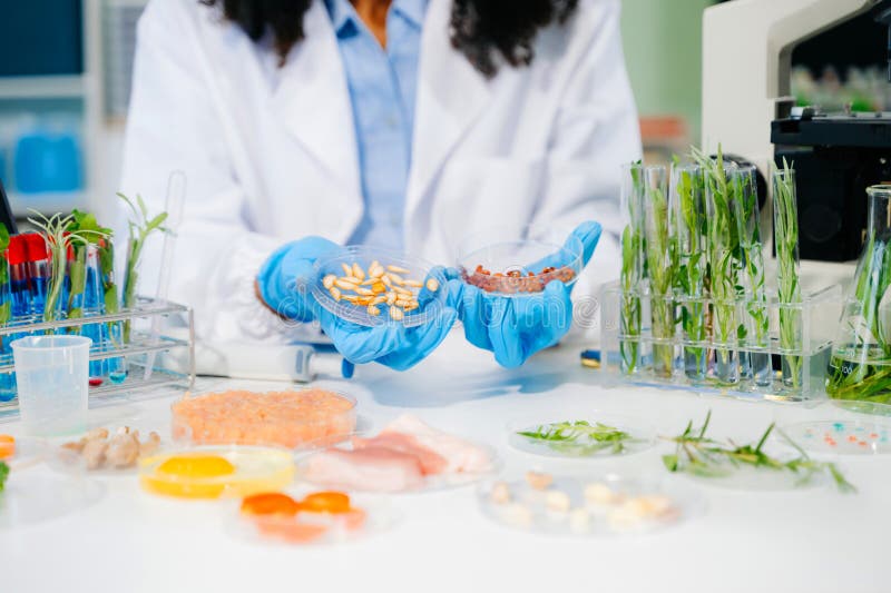 Food Science As Lab Scientists Test and Analyze Vegetables for Safety ...