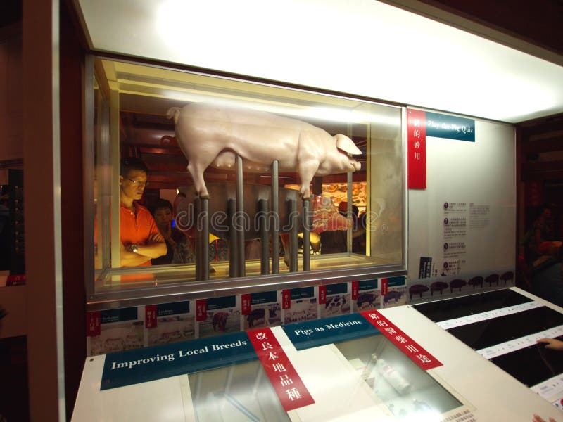 Food Science in Hong Kong Science Museum Editorial Photography - Image ...