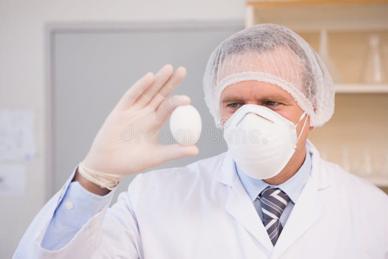 Food Scientist Holding an Egg Stock Photo - Image of biotechnology ...