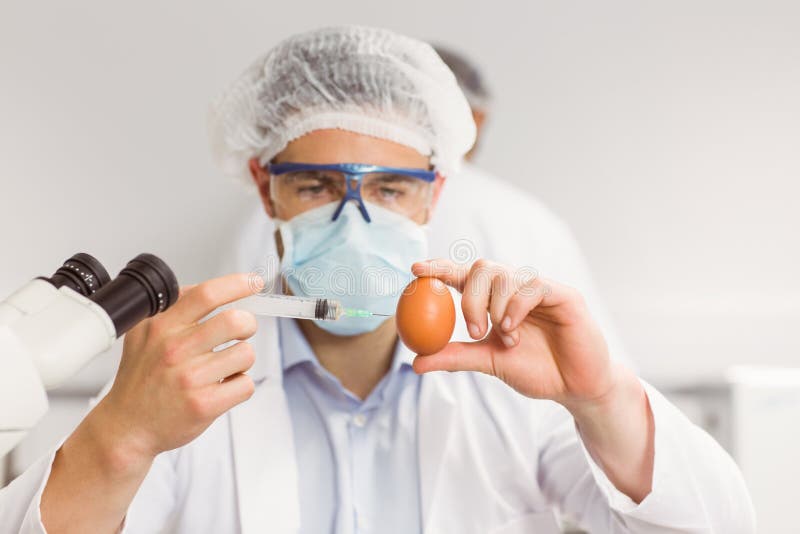 Food Scientist Injecting an Egg Stock Photo - Image of scientist ...