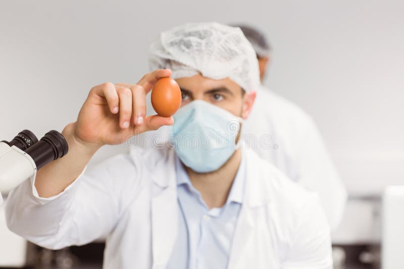 Food Scientist Looking at an Egg Stock Photo - Image of biology ...