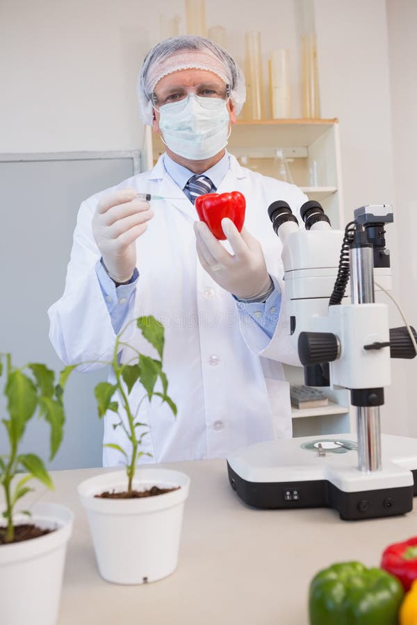 Food Scientist Working Attentively with Red Pepper Stock Image - Image ...