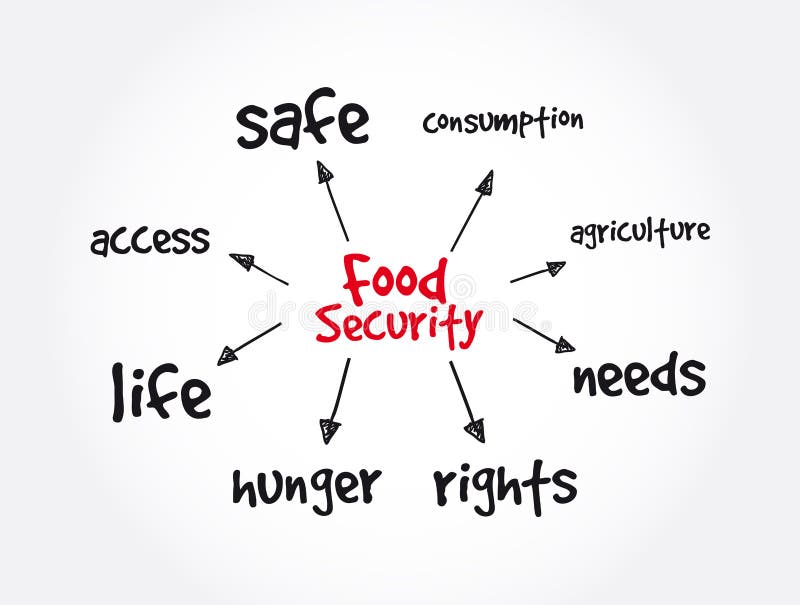 Food Security Mind Map, Concept for Presentations and Reports Stock ...