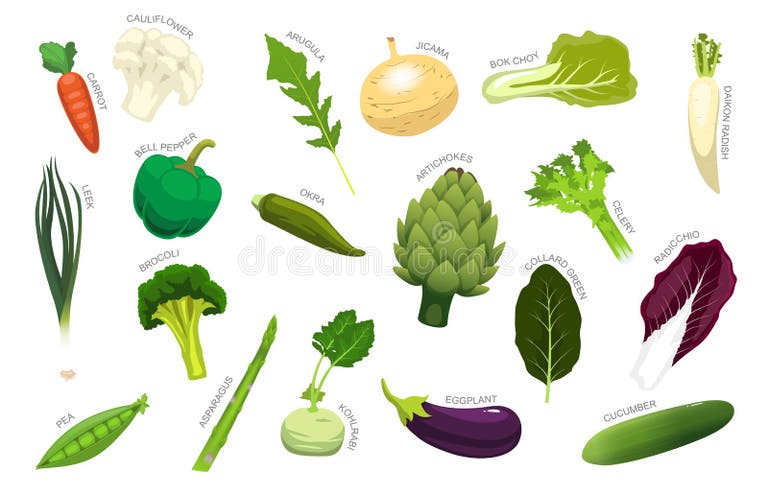 Radish Vector File Stock Illustrations – 63 Radish Vector File Stock ...