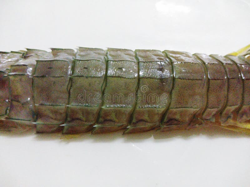 Seafood stock image. Image of closeup, crab, food, shell - 129836933