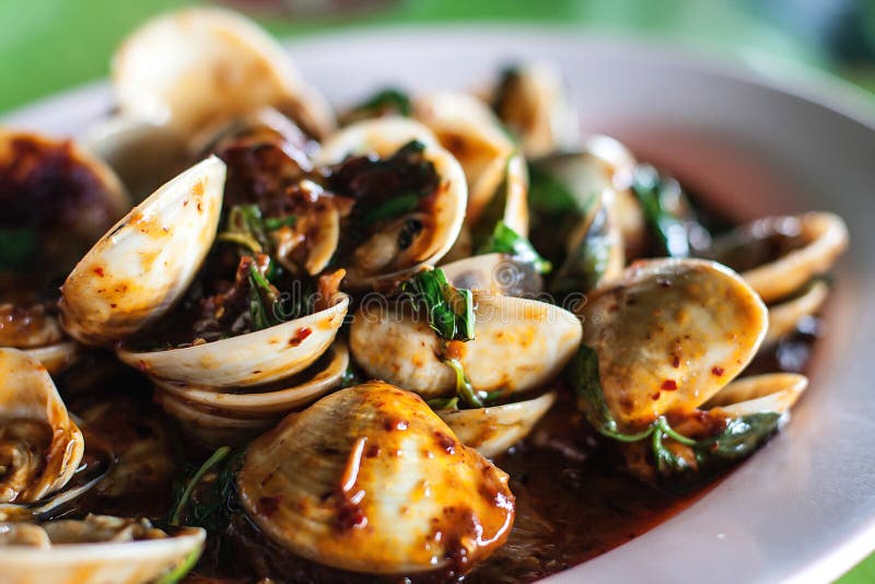 Shell food stock image. Image of food, delicious, away - 47920263