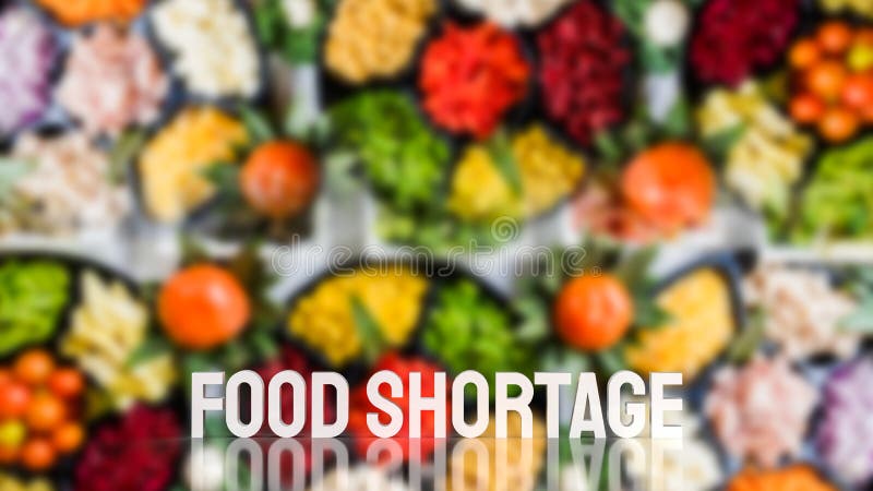 The Food Shortage White Text on Food Background 3d Rendering Stock ...