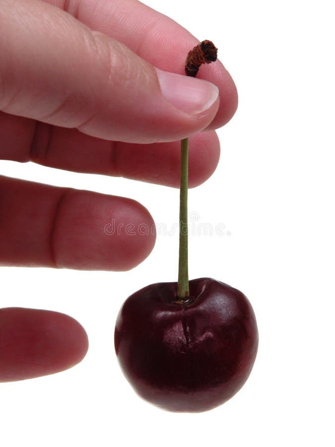 Food: Single Cherry stock photo. Image of stem, hand, white - 18586