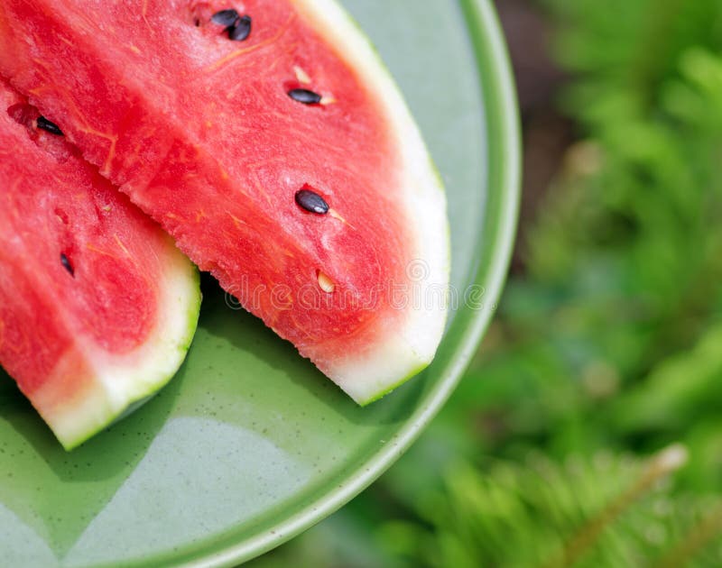Sliced Watermelon on a Plate Stock Photo - Image of green, produce ...