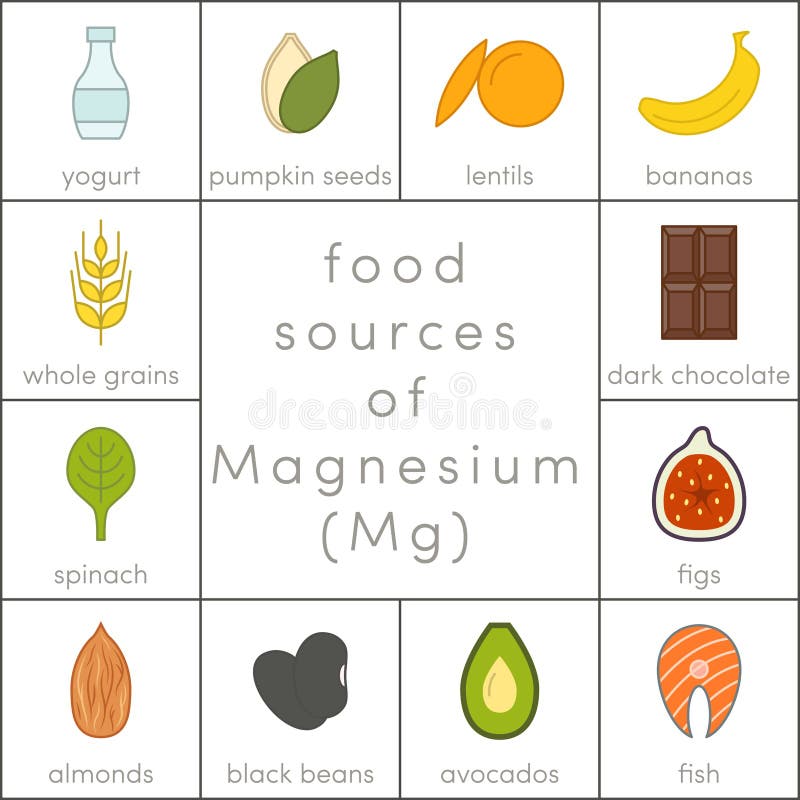 Food sources of magnesium stock illustration. Illustration of icon ...