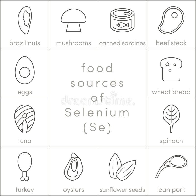 Food sources of selenium stock illustration. Illustration of healthiest ...