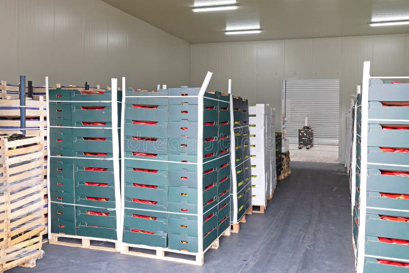 Food Storage stock photo. Image of fruit, vegetable - 166317700