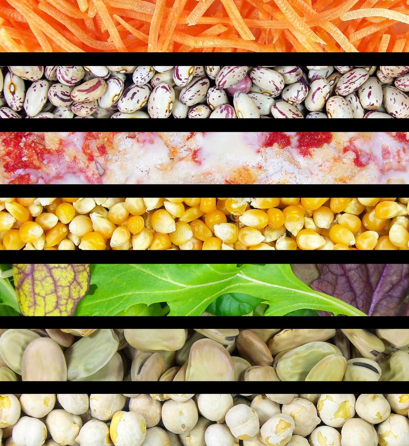 Food Stripes stock image. Image of purple, mais, tomato - 9449085