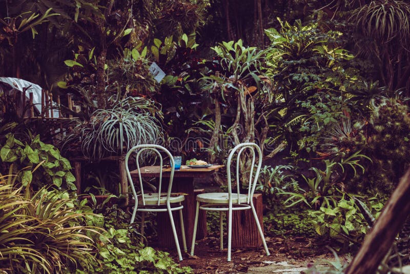 Food table in forest stock image. Image of beauty, nature - 108743089