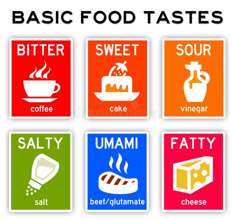 Five Basic Tastes Stock Illustrations – 26 Five Basic Tastes Stock ...