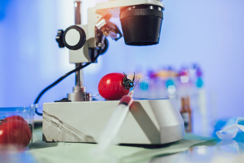 Food Testing in the Laboratory. Stock Photo - Image of chemistry ...