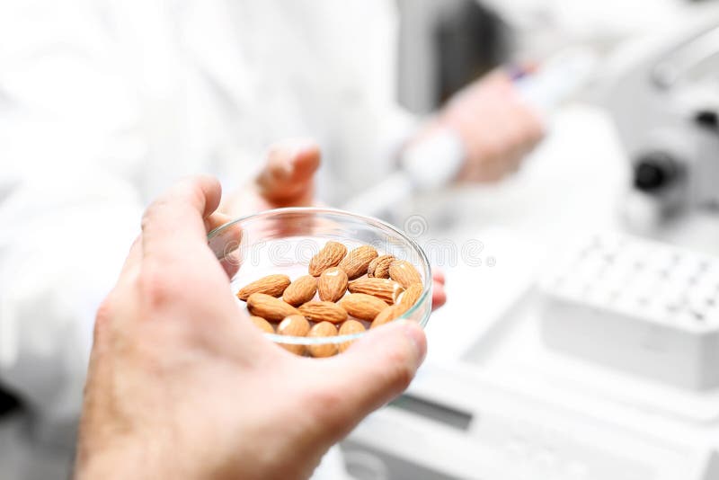 Food Testing in the Laboratory. Stock Photo - Image of analyze ...