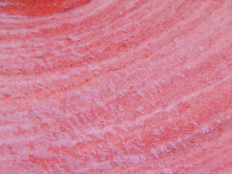 Food and Texture of Dishes Cooking Stock Image - Image of turmeric ...