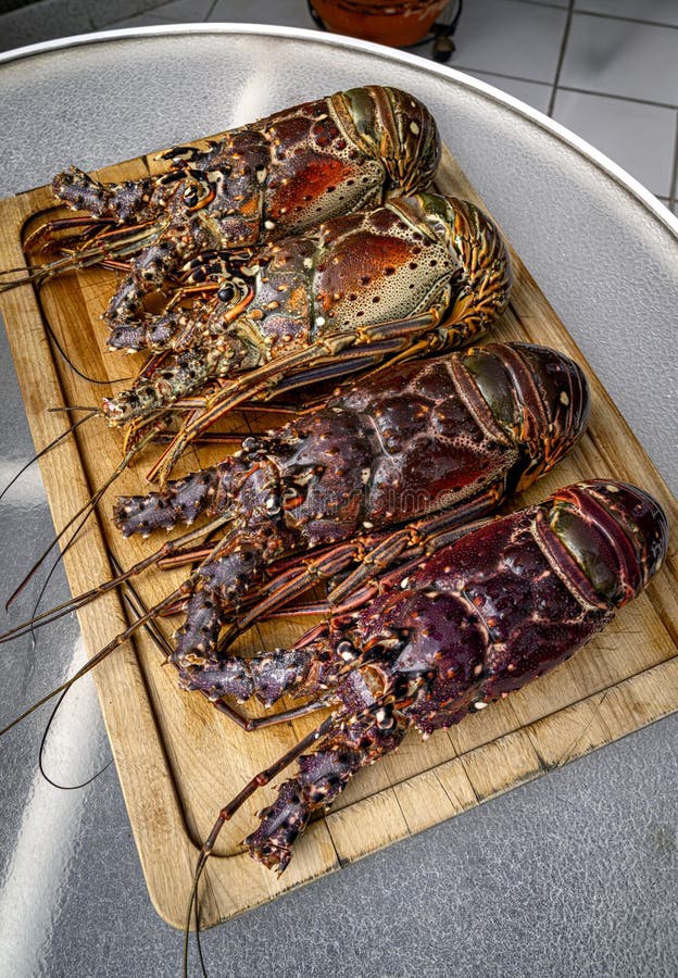 Fresh Lobsters on Kitchen Table. Stock Photo - Image of high, cooking ...