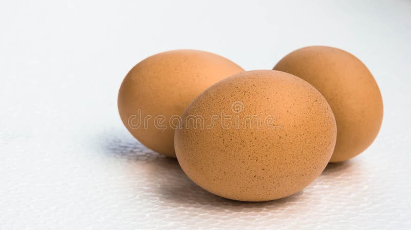 Food stock photo. Image of single, protein, nature, shell - 73697784