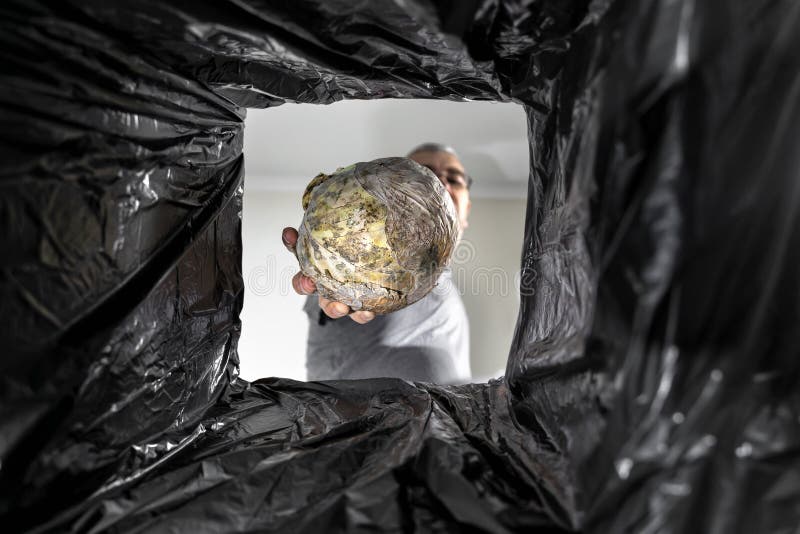 Food is Thrown in the Trash Stock Image - Image of excess, throwing ...