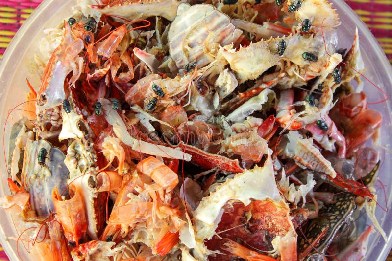 Food Trash, Crab Shell and Shrimp Shell Stock Image - Image of kitchen ...