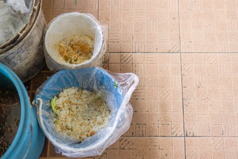 Food in the trash stock photo. Image of waste, environmental - 198984688