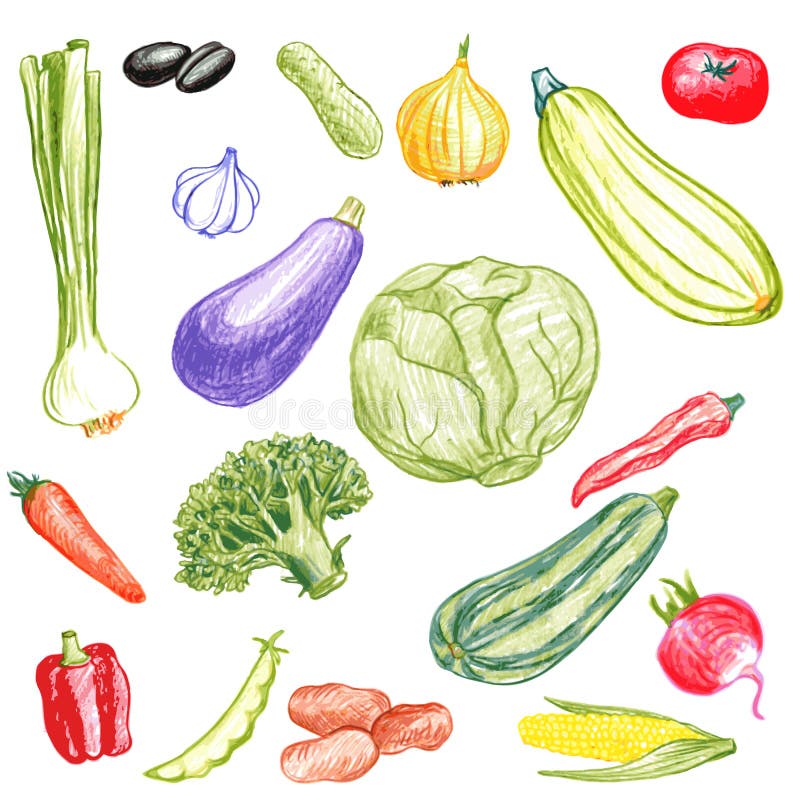 Food vector elements stock vector. Illustration of design - 56365932