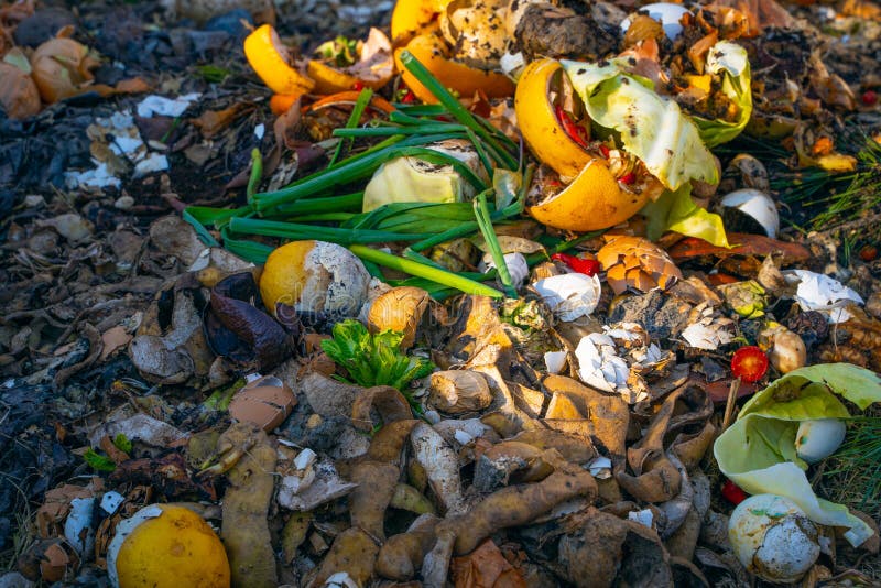 Food Waste on a Compost Heap Close-up. Composting of Human Waste Stock ...