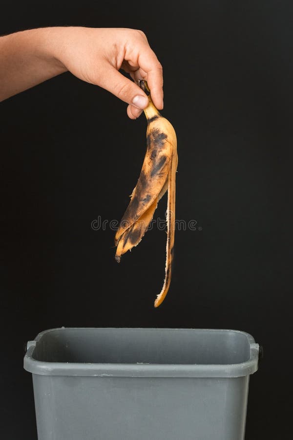Food Waste Concept. High Quality Photo Stock Photo - Image of garbage ...