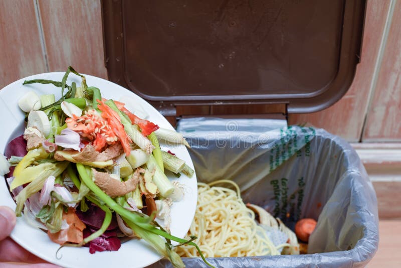 Food Waste in a Kitchen Leftover Vegetables Can Be Composted and ...