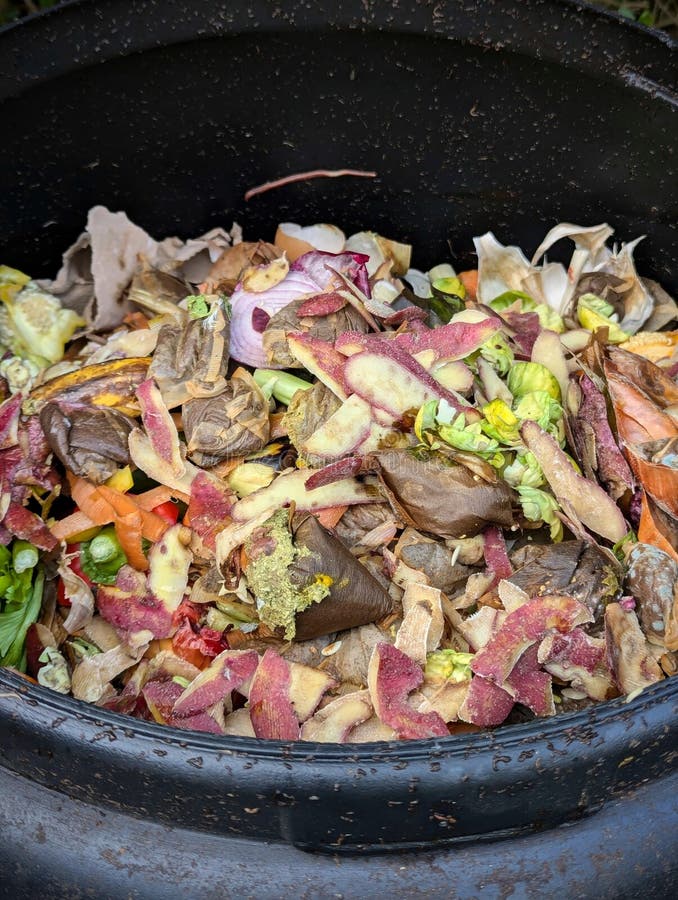 Food Waste in a Compost Bin Stock Image - Image of friendly, fertilizer ...