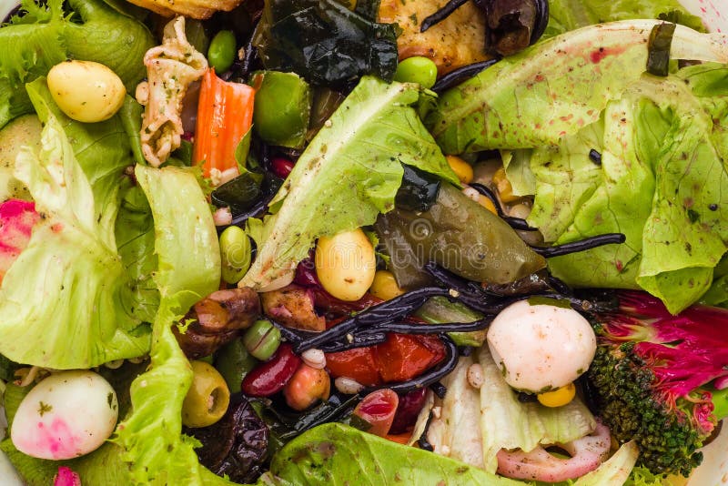 Food waste and scraps stock photo. Image of recycle, environment - 69462004