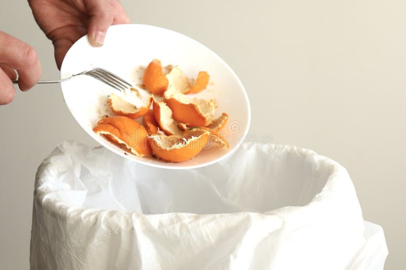 Food Waste and Trash Can, Separate Waste Stock Photo - Image of citrus ...