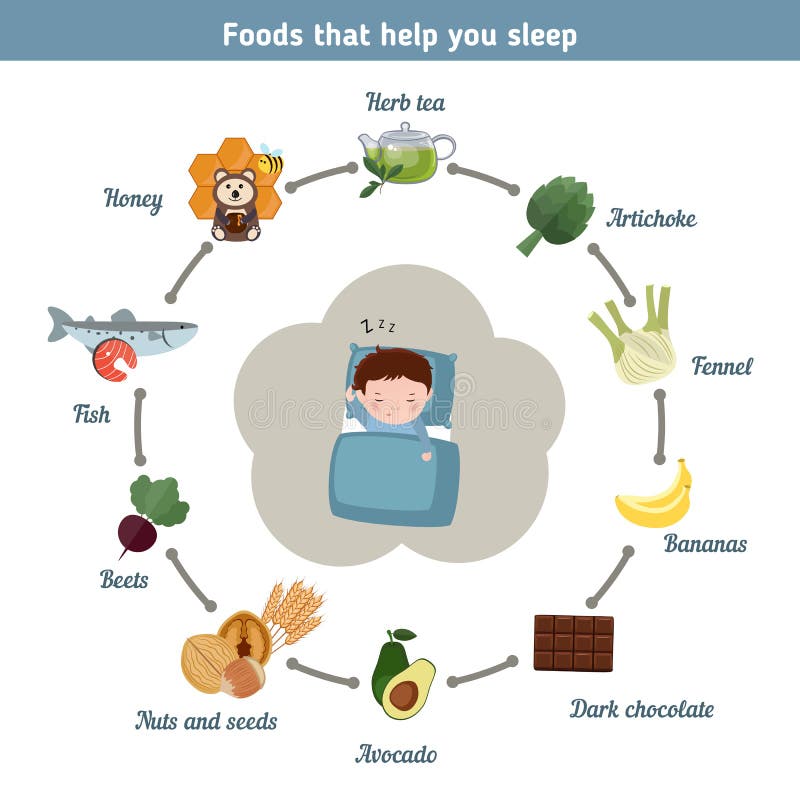 Foods that help you sleep stock vector. Illustration of cartoon - 82820512