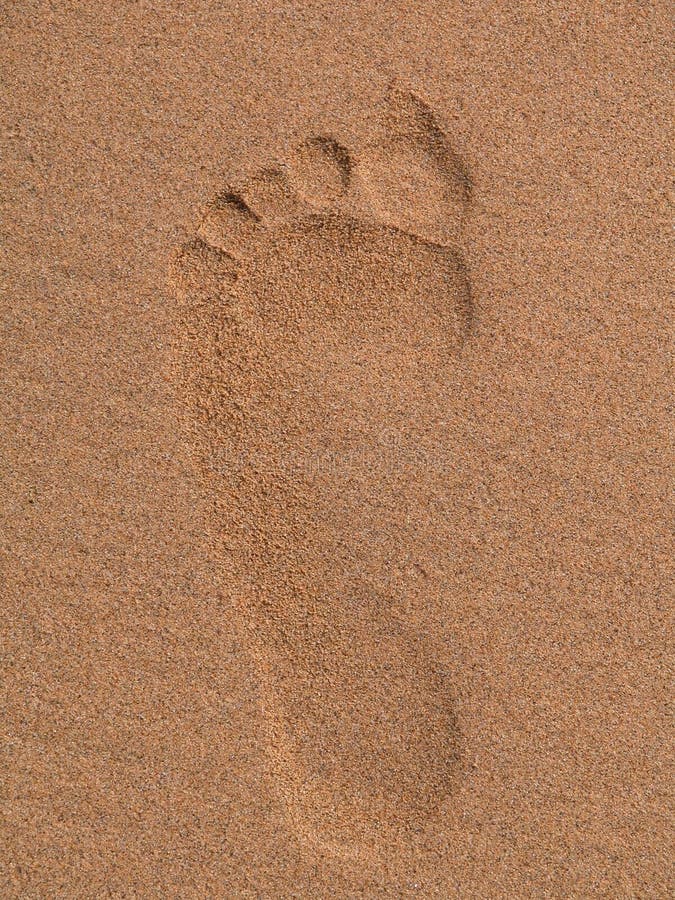 Foot stock image. Image of foots, beach, people, legs, sand - 96903