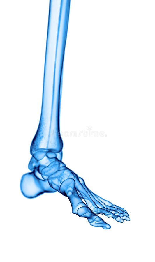 The cervical spine stock illustration. Illustration of bones - 58776189