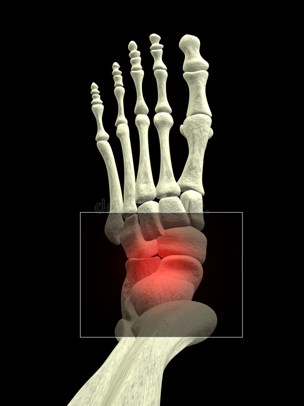 Left Right Foot Stock Illustrations – 1,089 Left Right Foot Stock ...