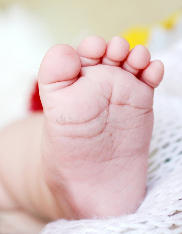 Foot of baby stock photo. Image of infant, foot, newborn - 34494080