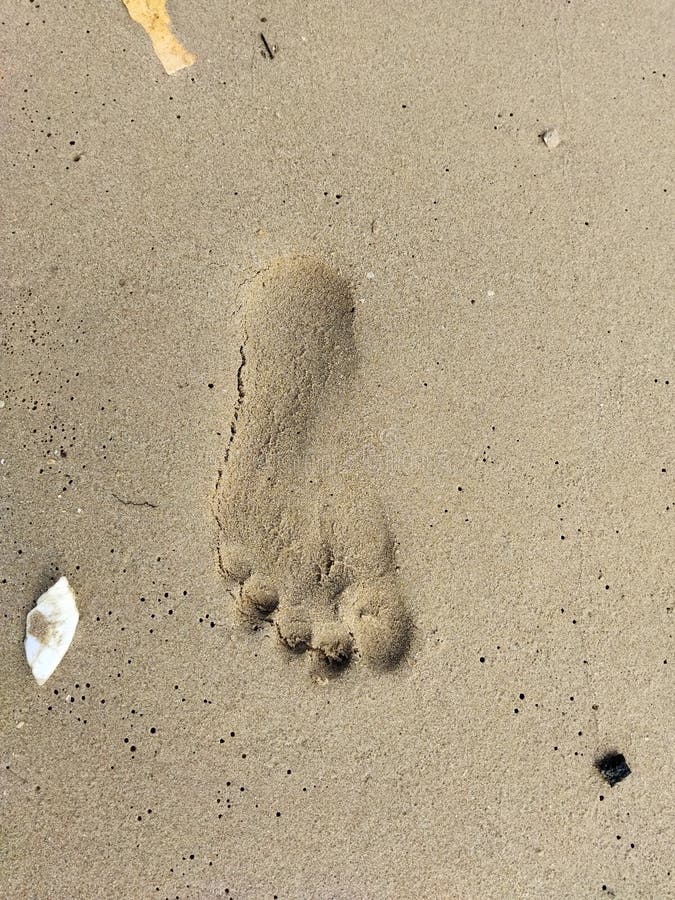 Foot on the beach sand stock image. Image of pattern - 222521831